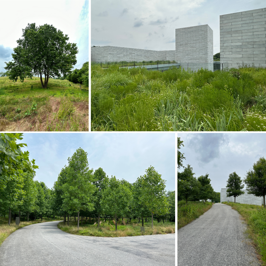 Intreegue Garden of the Month: Discover Glenstone: Art, Architecture & Nature! - Intreegue